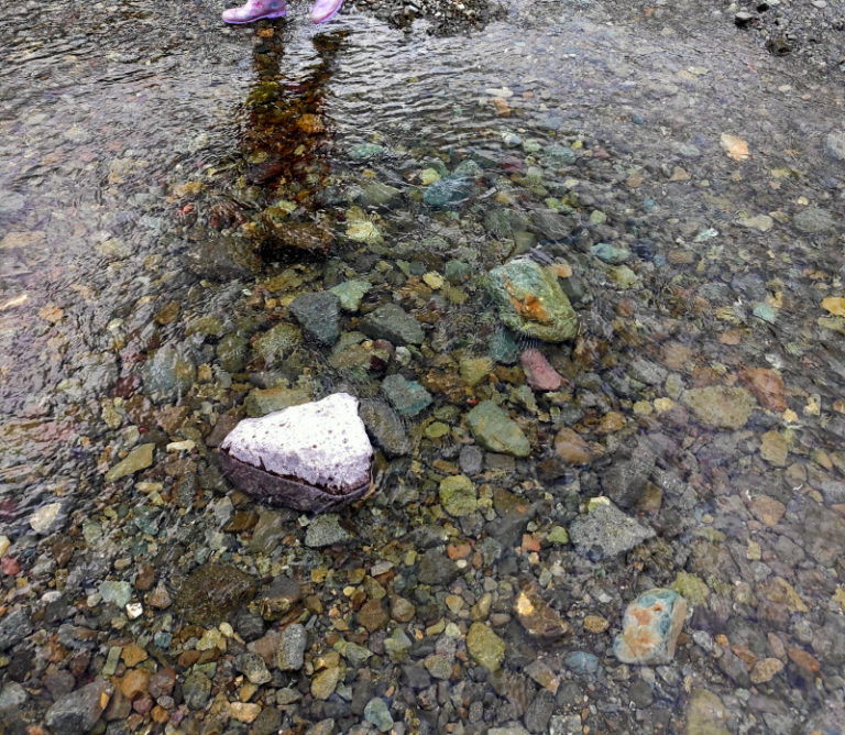 [Kanagawa] Hadano-Togawa-park is fresh green beautiful and you can play ...